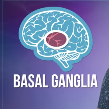 SciShow Psych: Tourette Syndrome - What Makes People Tic? | SciTech ...