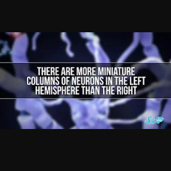 SciShow Psych: How Close Are We to Growing Brains in a Dish? | SciTech ...